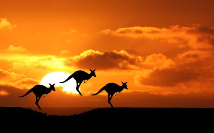Aspectos curiosos de Australia - AVI Asistencia al Viajero Aspectos curiosos de Australia - AVI Asistencia al Viajero